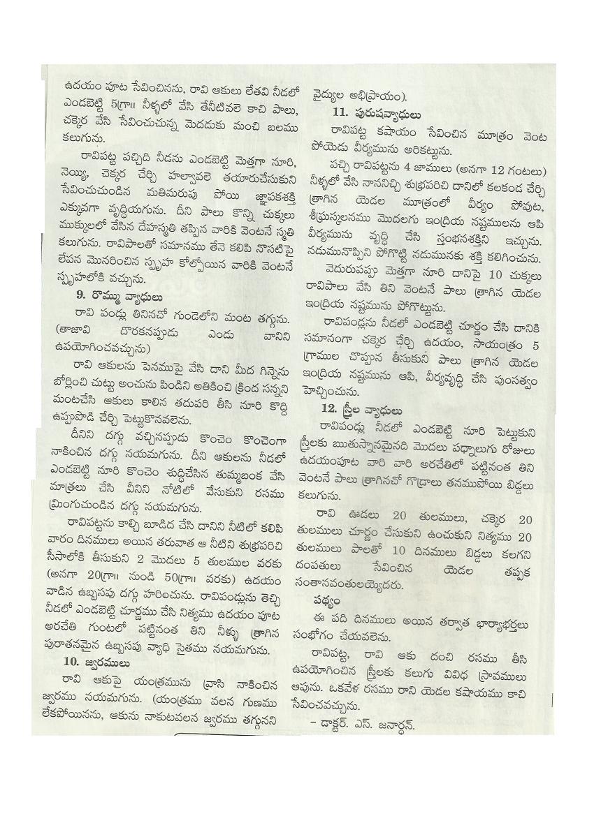 AYURVEDAM - ఆయుర్వేదం: RAVI CHETTU ( PIPAL TREE ) - AYURVEDAM