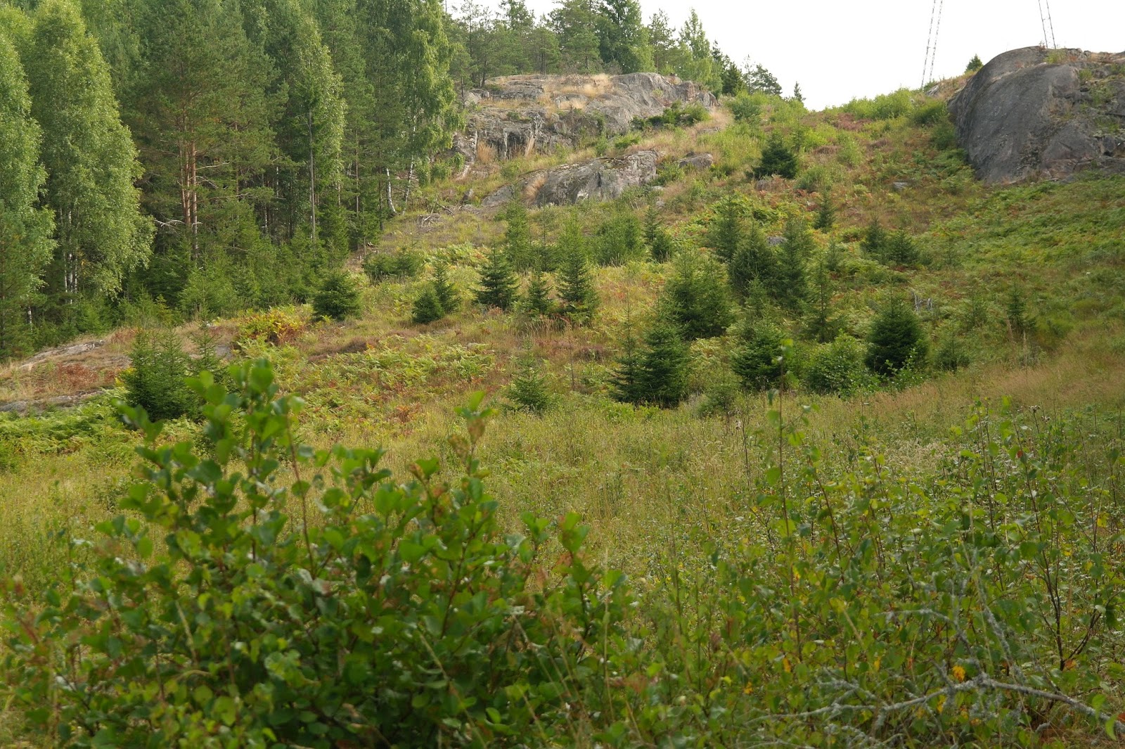 Garpinas Blogg: Lerhaga-Gerstaberg