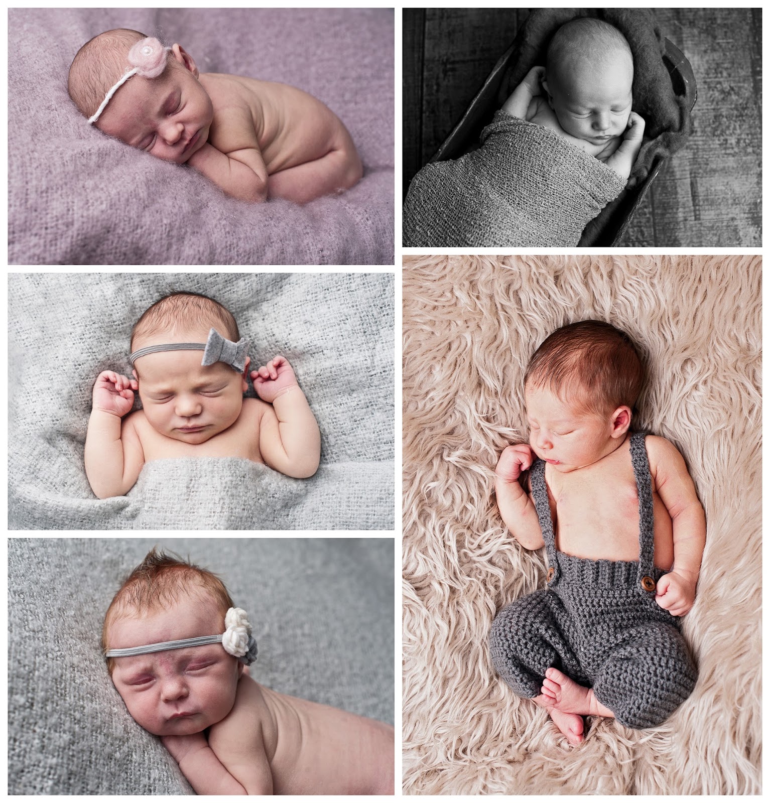 Blue Lights Photography: Newborns: 2016 A Year of Squishy Babies