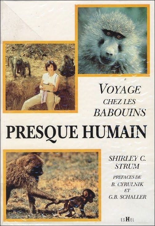 Animalia: Presque humain : Voyage chez les babouins, de Shirley C. Strum