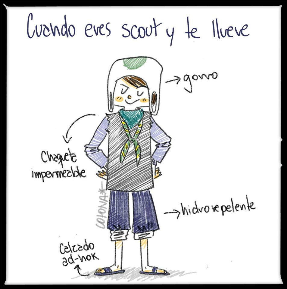 Argot Scout: COTONA ILUSTRADORA