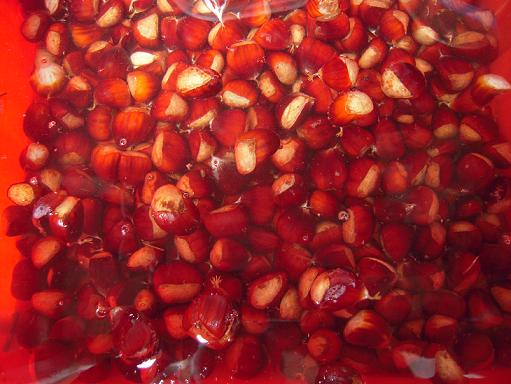 Bandon Berry Farmer: CHESTNUTS!!