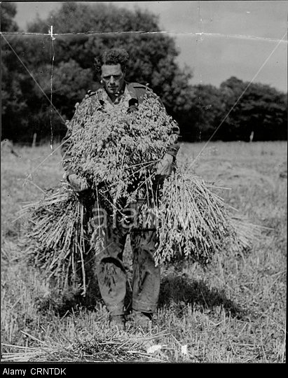 A Wander down Hoe Lane - Flansham