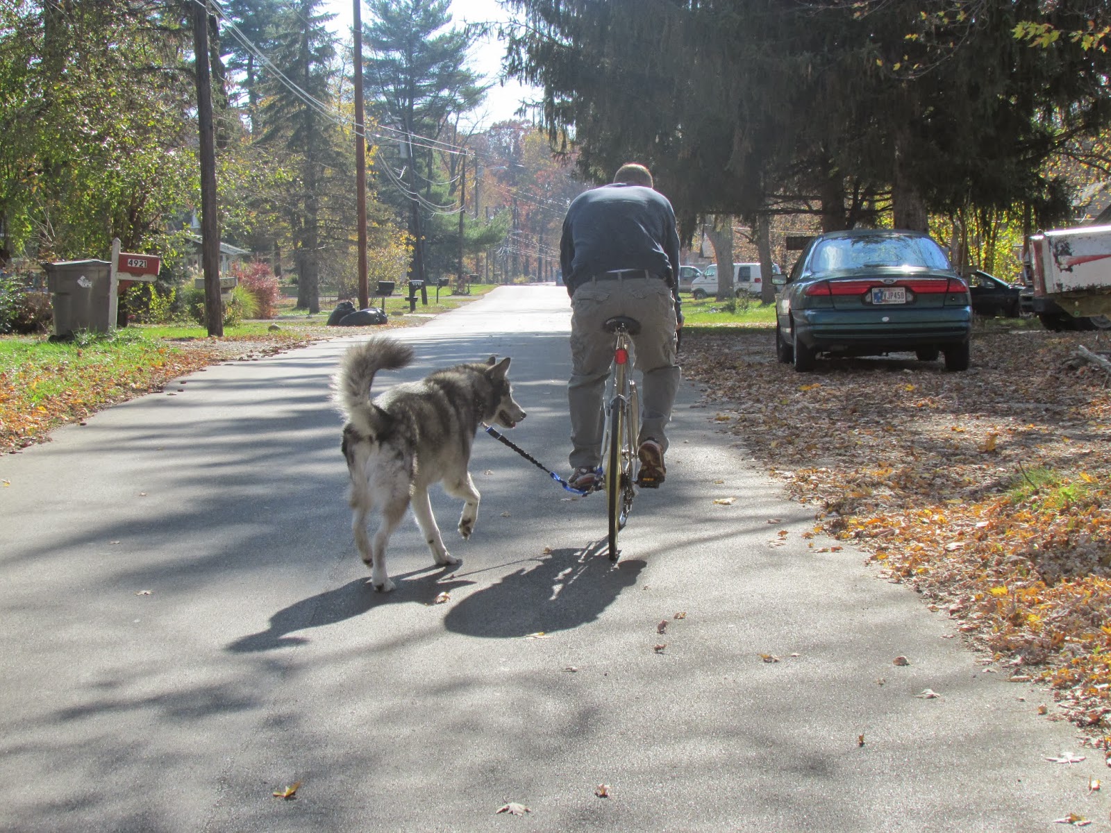 My Rotten Dogs: Dogger Jogger Review