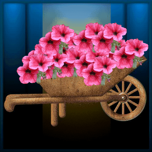 Un blog cu gif-uri: Gifuri flori