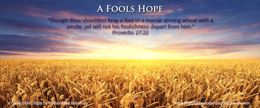 preachbrotherbob: How Proverbs Describes A Fool