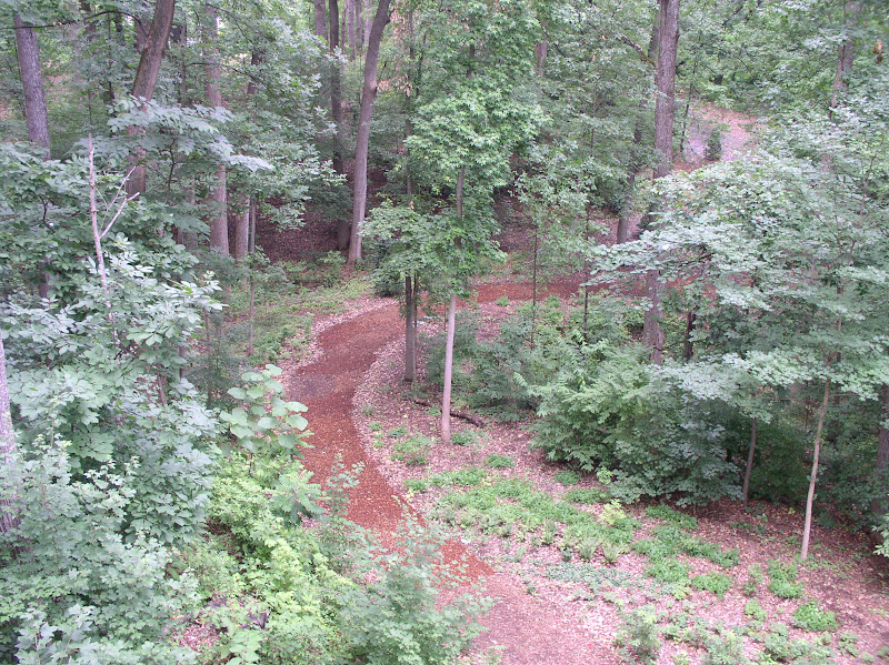 Walkabout with Becky: The Atlanta Botanical Garden