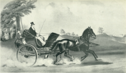 Colonial Quills: 40 Carriage Terms Defined