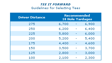 George Pasdirtz: Tee It Forward?