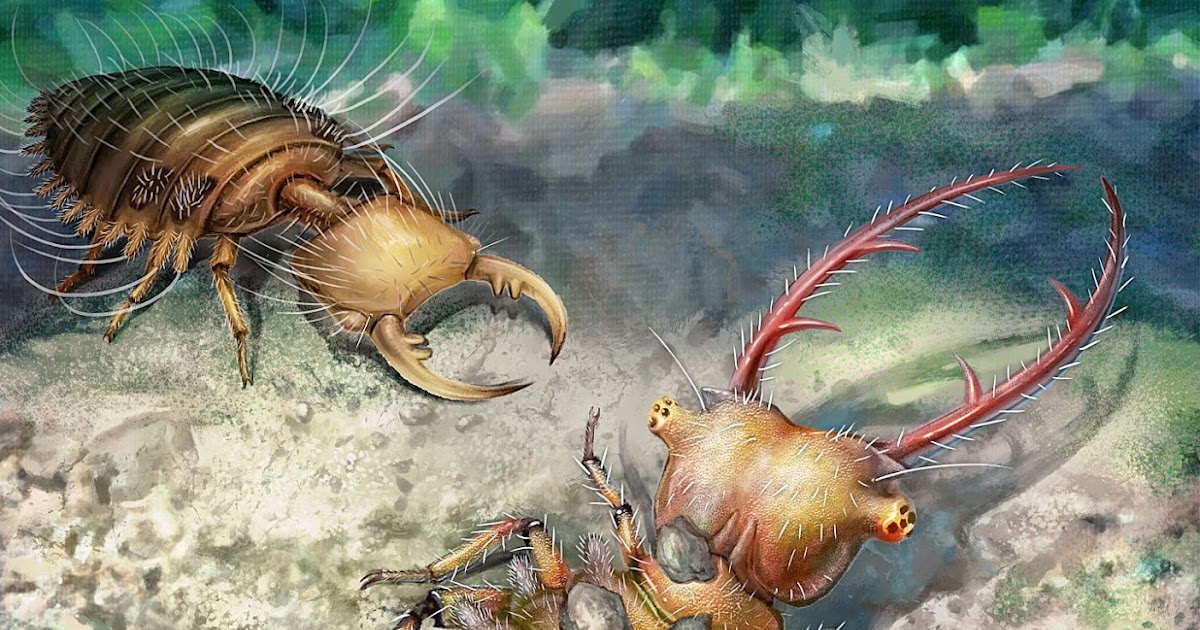 XTerraSpace: Amber unveils evolution of ancient antlions