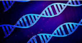 Study Genetics Online: Understanding the basics of genetics