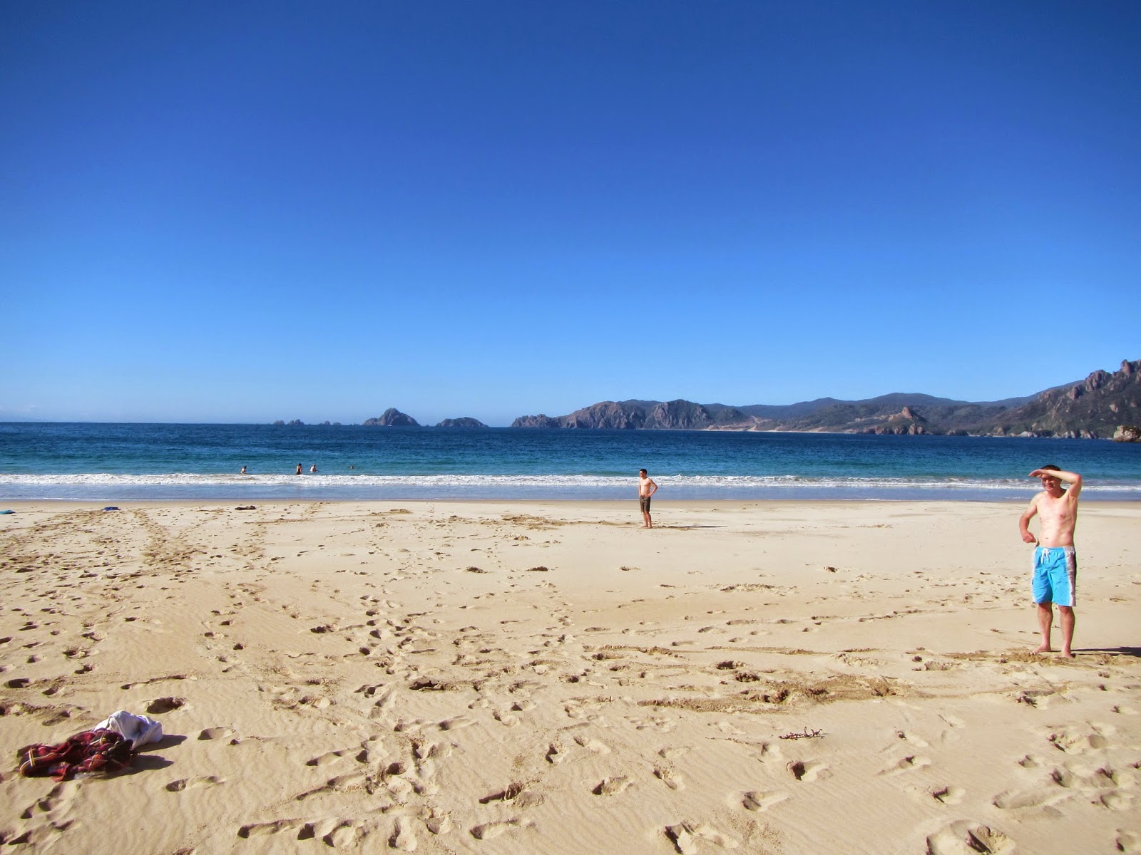 WanderLust Kaitlyn Jayne: Tales from Codfish Island (Whenua Hou)