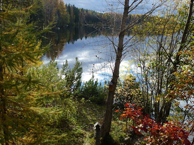 Ruska u Laponiji ~ F I N S K A