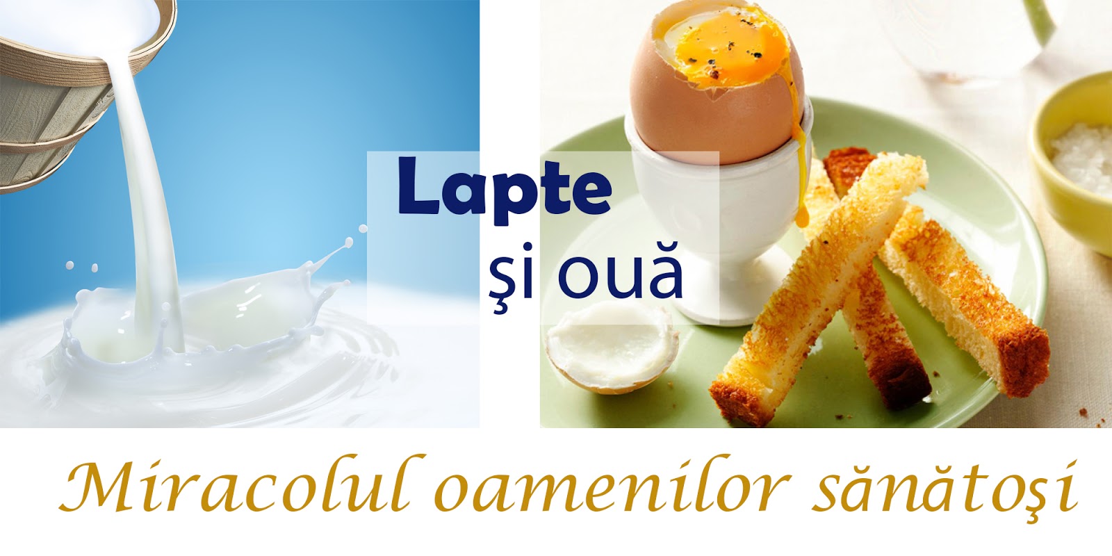 Mega Plus Blog: Laptele fiert şi ouăle – alimentele oamenilor sănătoşi