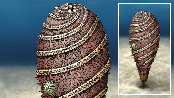 Science and Religion: A View from an Evolutionary Creationist: Most ...