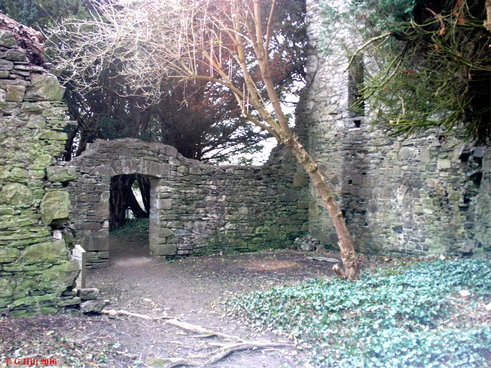 Ireland In Ruins: Old Straffan Church Co Kildare