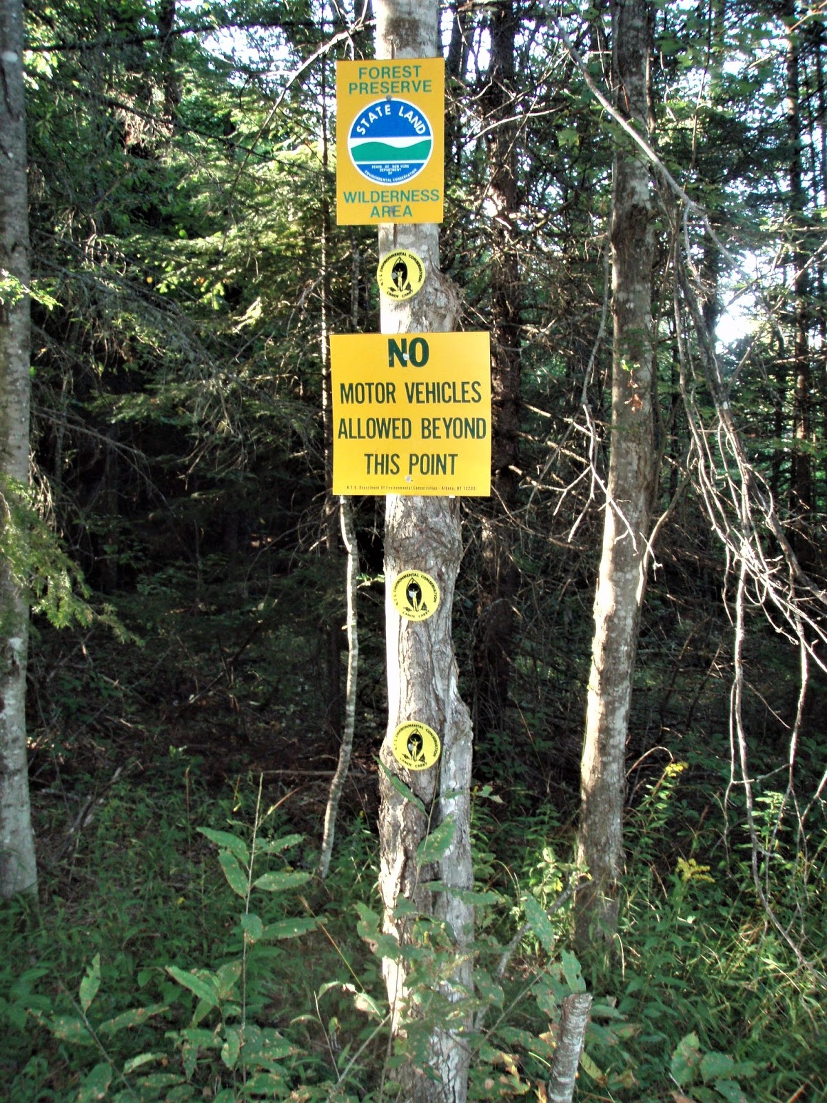 LAKE LILA>LOWS LAKE>OSWEGATCHIE RIVER thru trip.