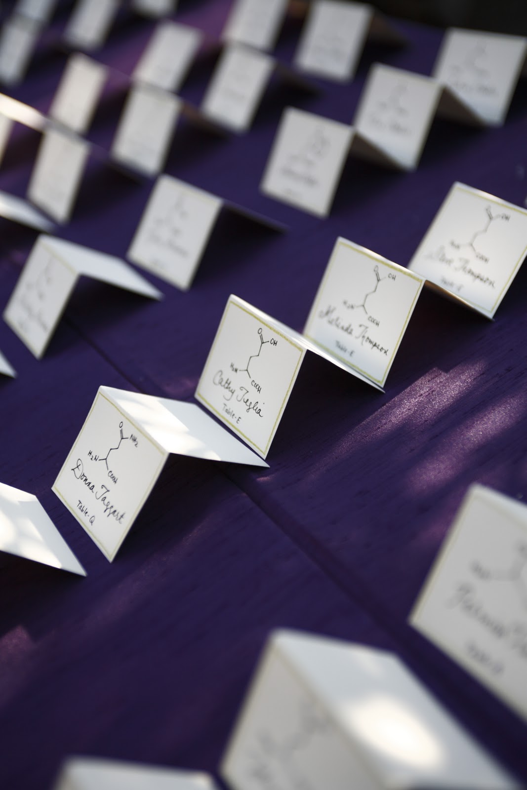 Allison K. Walker Art & Illustration: Science Wedding Calligraphy