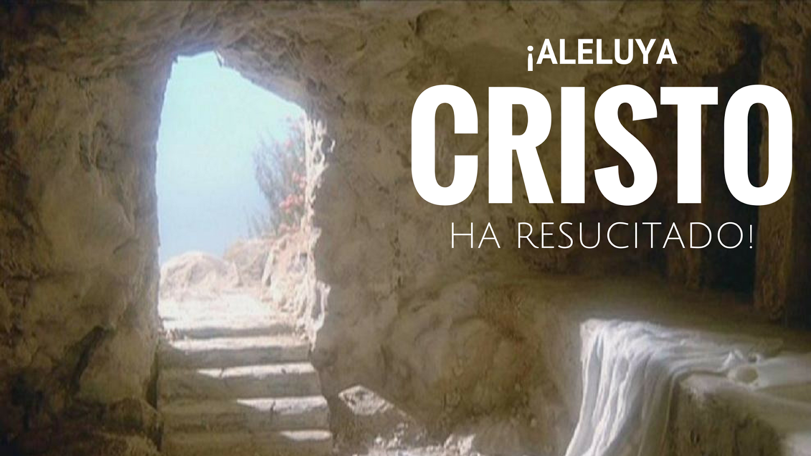 PASTORAL EDUCATIVA CEV