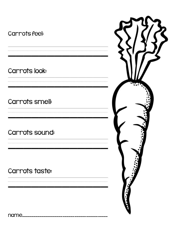 What's Up Doc? Carrots!!!! - The Science School Yard