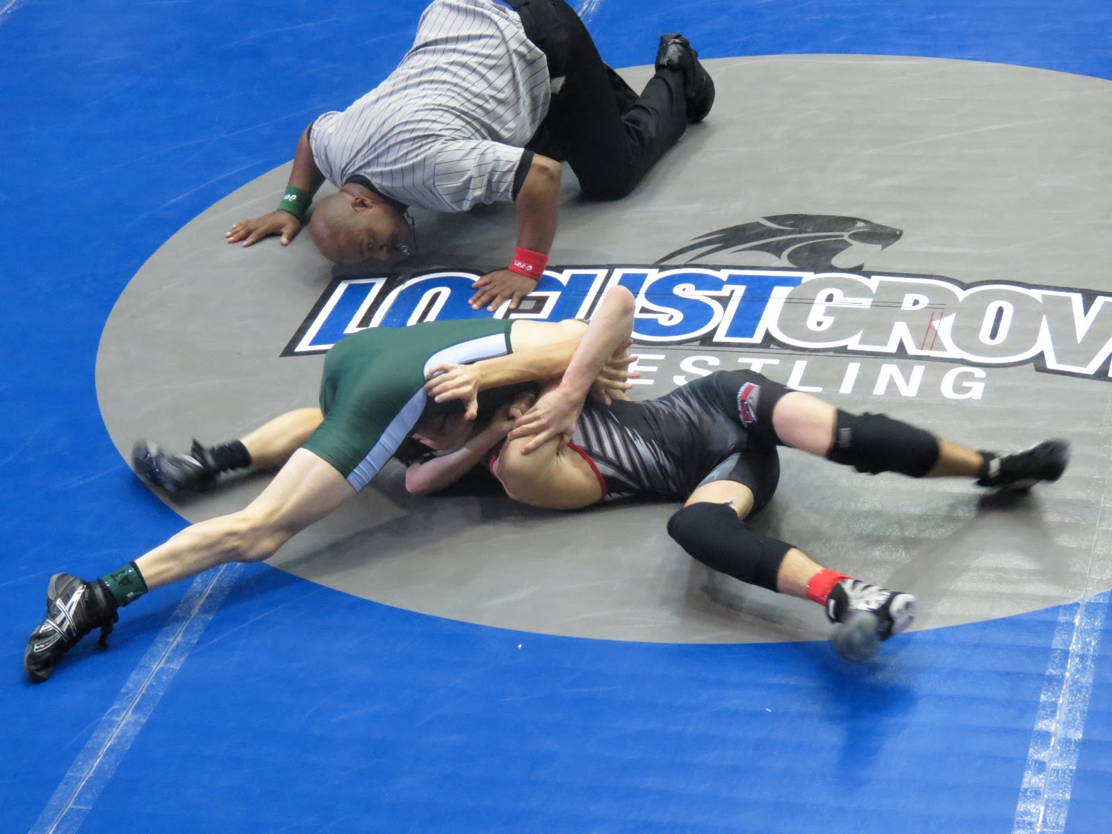 Ware County Wrestling: Gators place 4th in State!