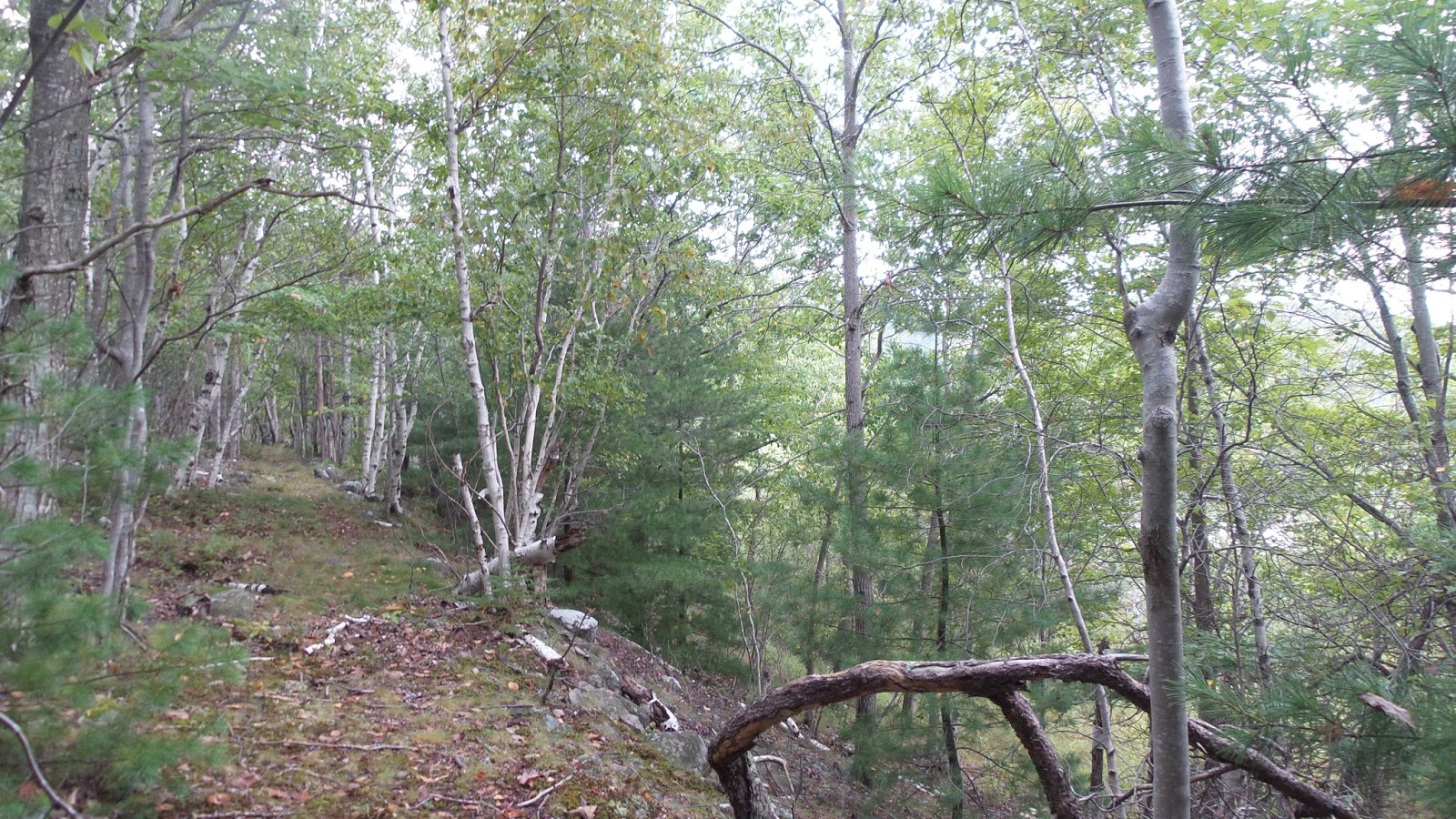 ABANDONED TRAILS OF ACADIA NATIONAL PARK: LOST GEORGE B. DORR BICYCLE PATH