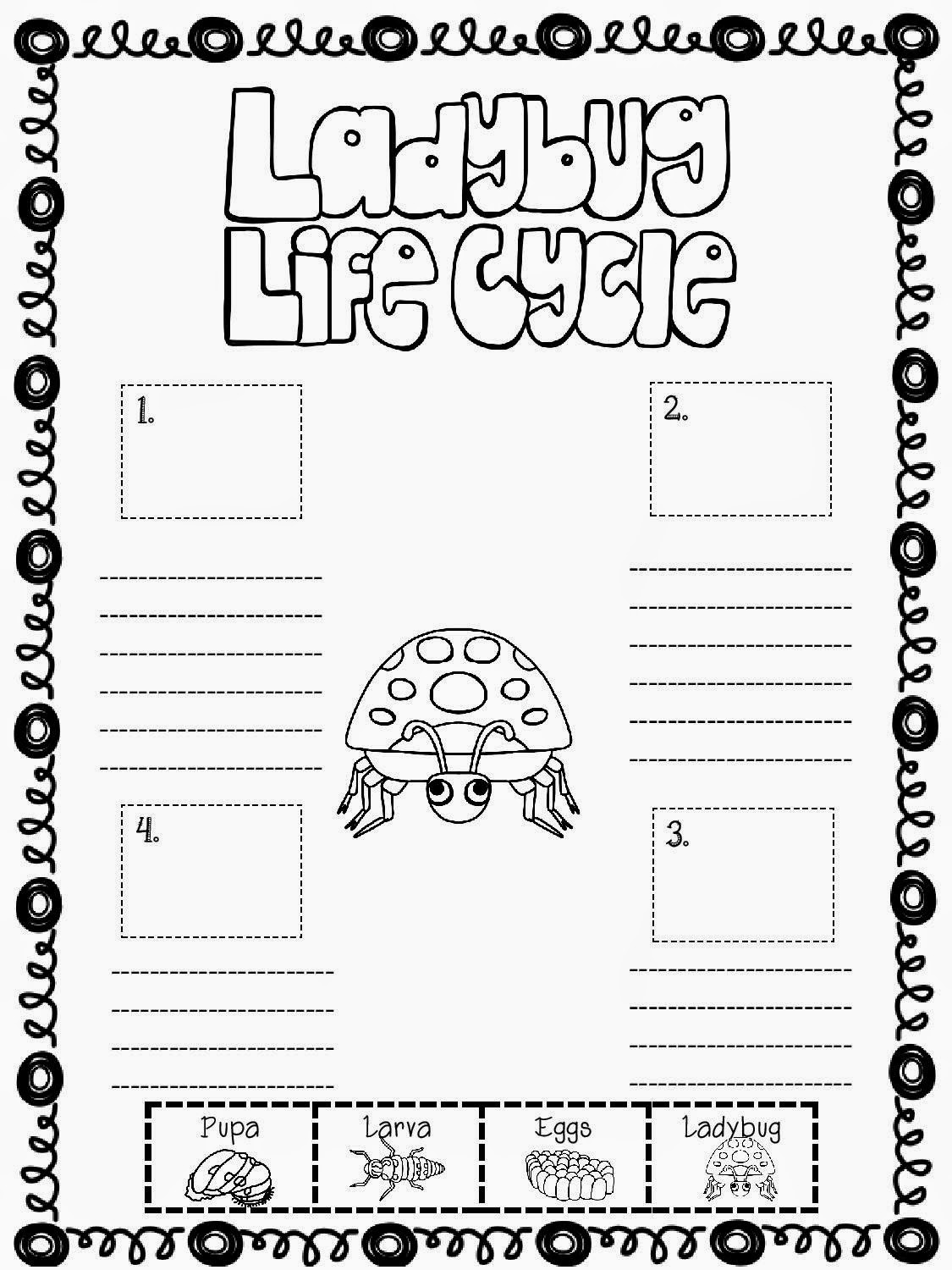 Ladybug Ladybug Fly Away Home! | Hillary's Teaching Adventures