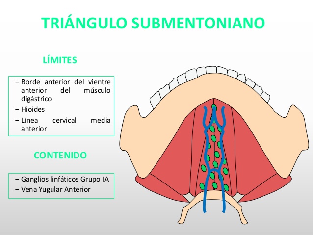 Ciencia Literaria : Triángulos del cuello