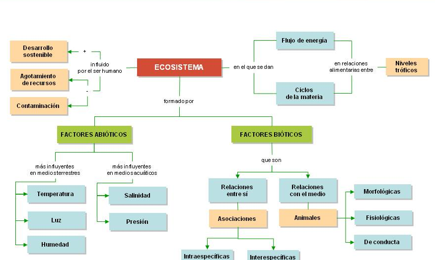 CIENCIAS NATURALES - EDER REYES: ESTRUCTURA DE LOS ECOSISTEMAS