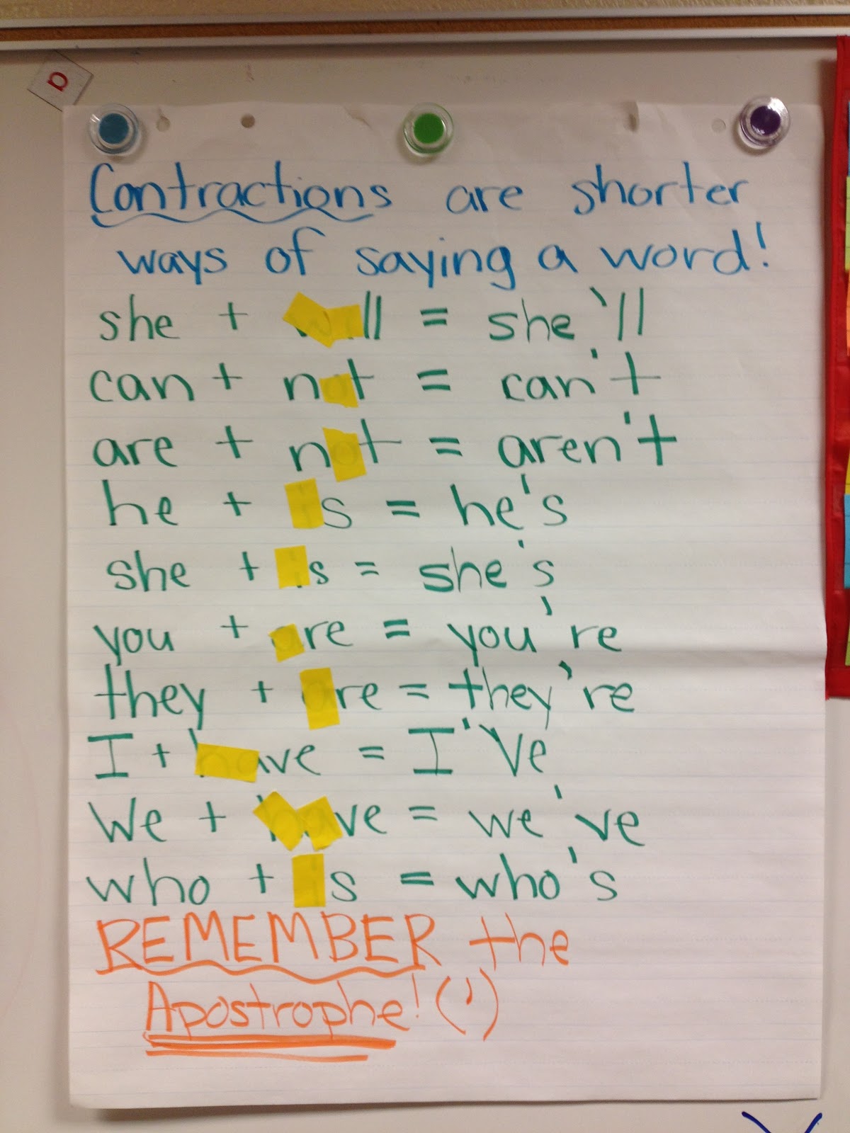 Sunflowers in First Grade