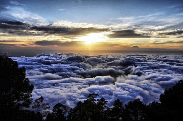 DACTYLIOTHECA: MAR DE NUBES