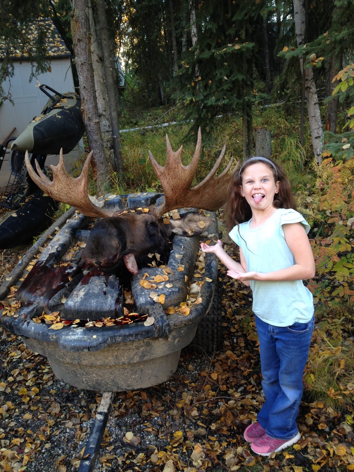 Bushwhacked: Many Much Moosen