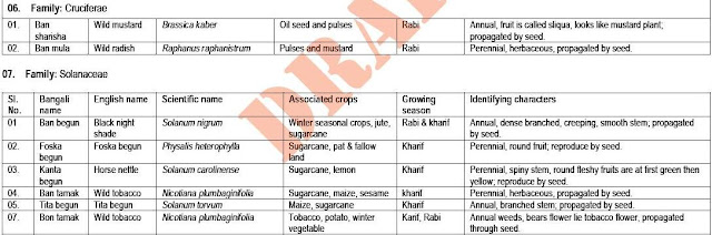 Scientific Names of weeds: Identification Of Weeds