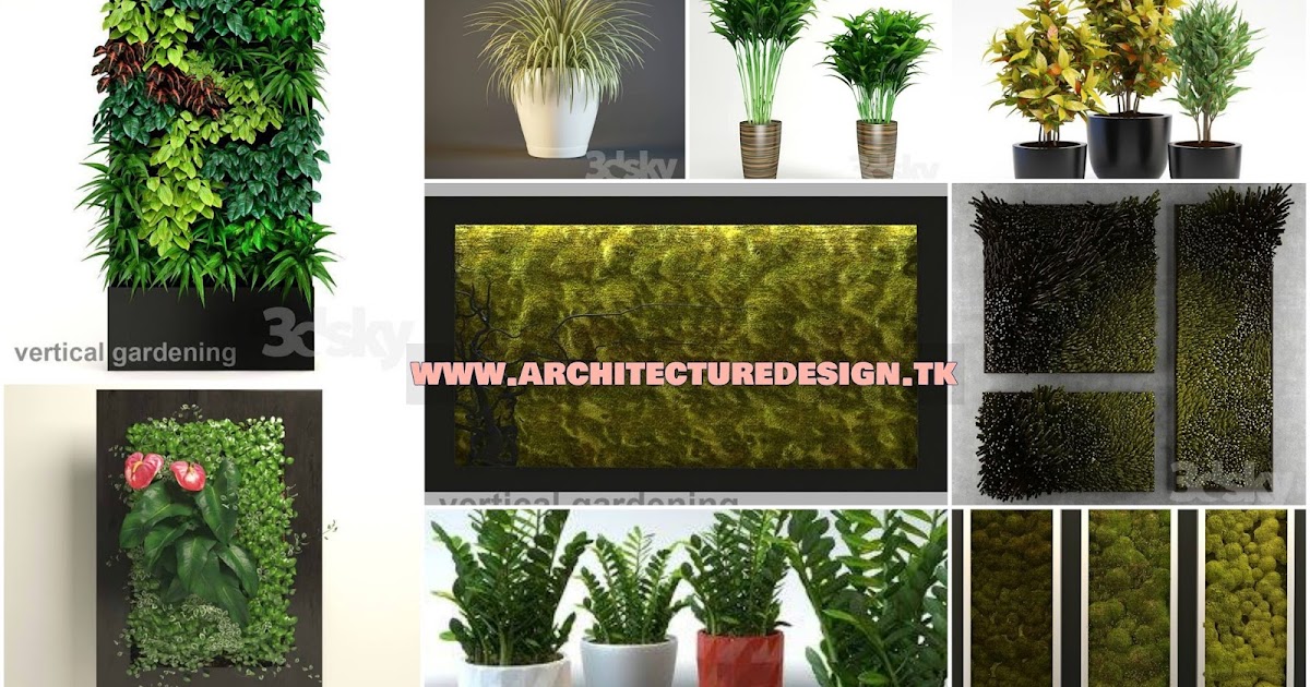 3Ds max Plant Collection 01 - Architecture Design | sketchup, Dwg ...