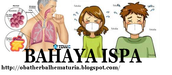 Cara Mengobati Penyakit ISPA dengan Obat ISPA Alami ~ Obat Hematuria ...
