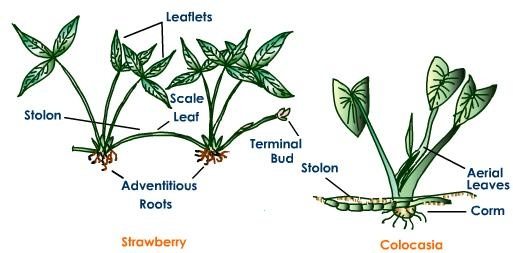 srirahayufns's: Mei 2017