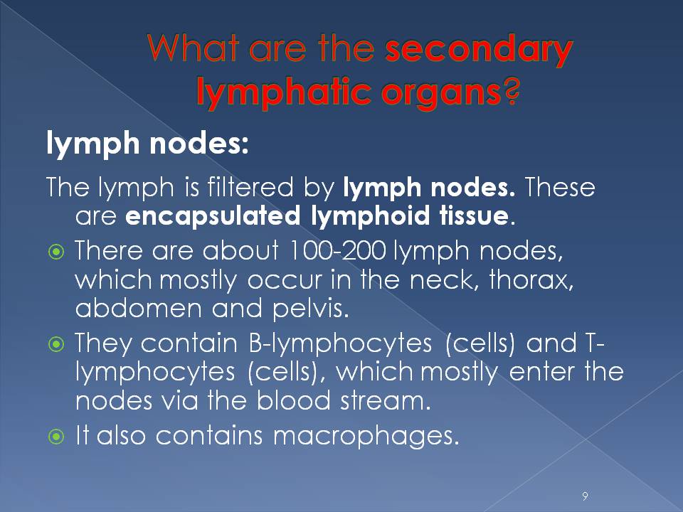 MEDICAL-SURGICAL NURSING REVIEW: OVERVIEW OF THE LYMPHATIC SYSTEM