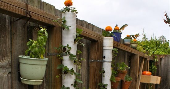Low-Cost Gardening Projects With PVC Pipes