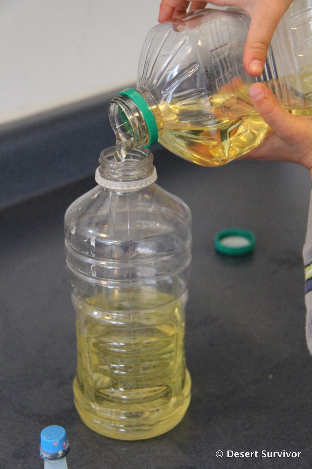 Desert Survivor: Science Experiment: Lava Lamp