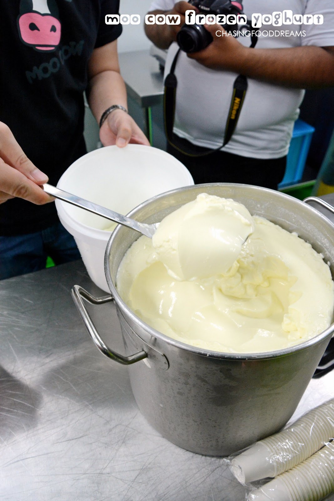CHASING FOOD DREAMS: Moo Cow Frozen Yogurt: The Science Behind The ...