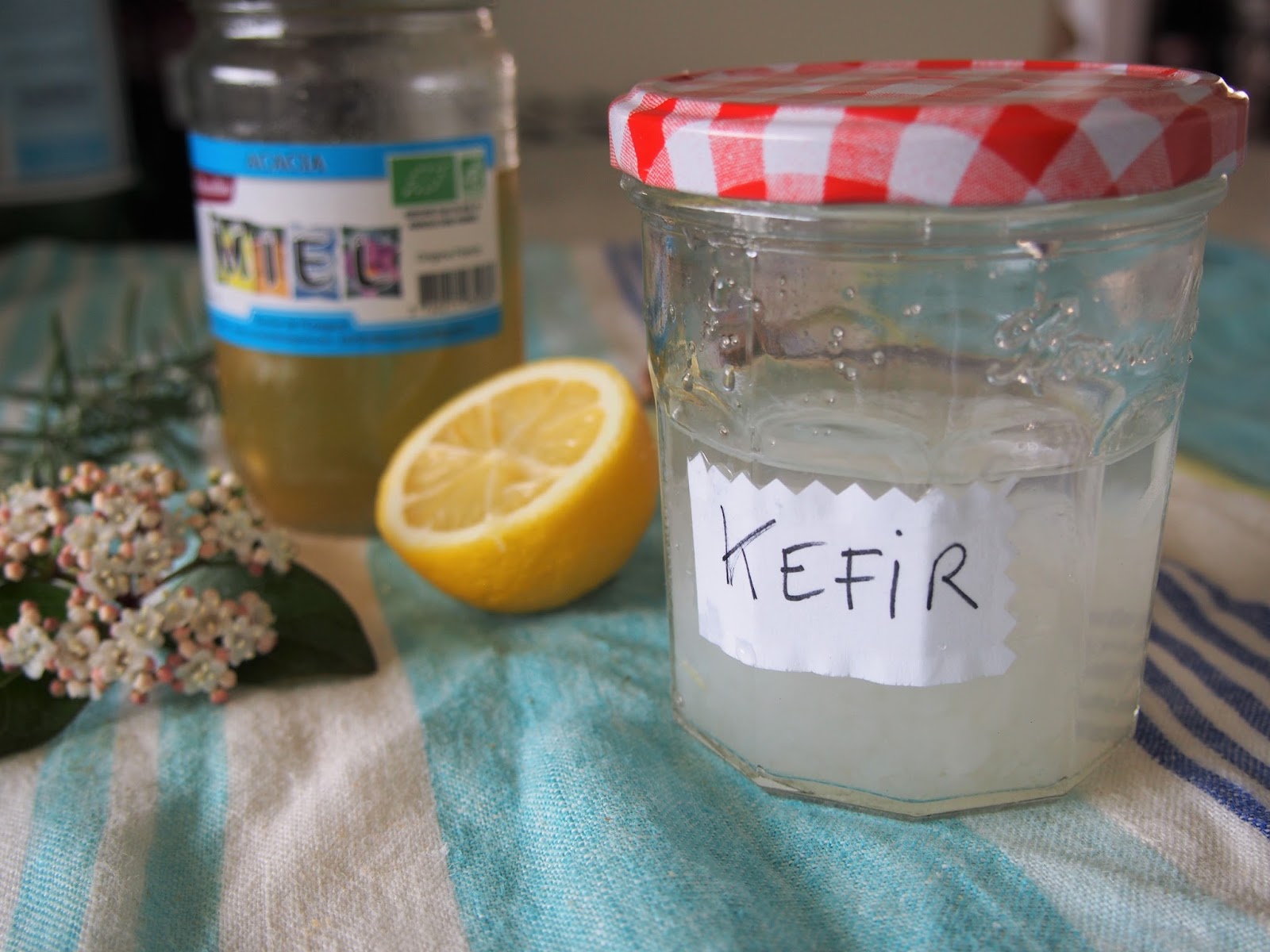 LE KEFIR | Paroles de diet