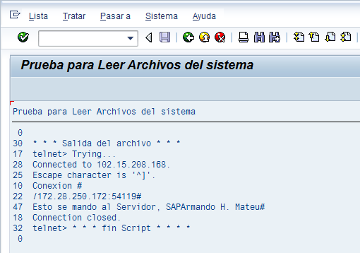 C00L B!bs0n: ABAP + Transacción SM69 o SM49 + TELNET + Script + Java