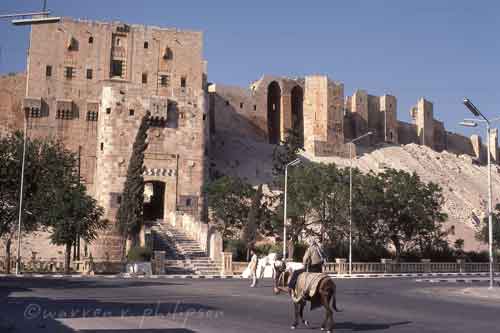 Retired--Now What?: Syria--Aleppo and Hama