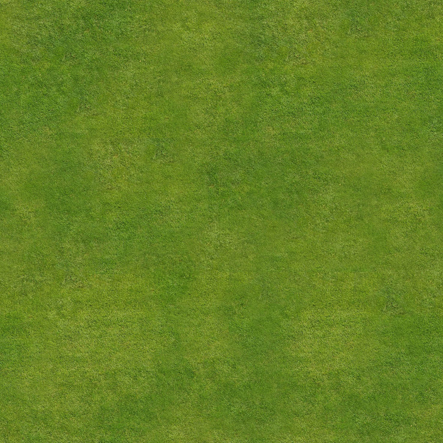 Texture+prato+grass+simo-3d.jpg (1477×1477) | Grass textures, Grass ...