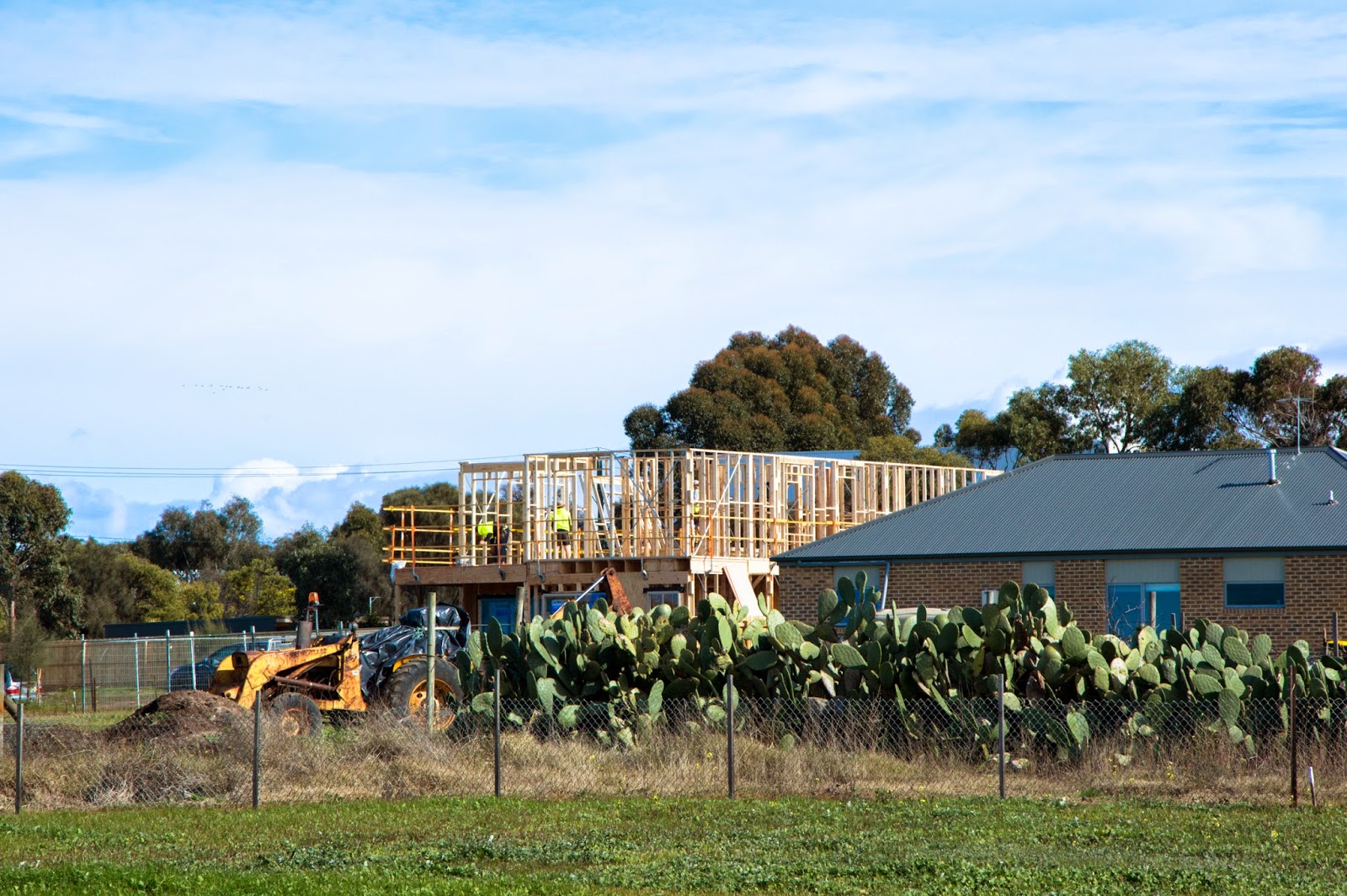 View topic - Slabbed, Framed & Near Lockup (Simonds Avalon) Pics ...