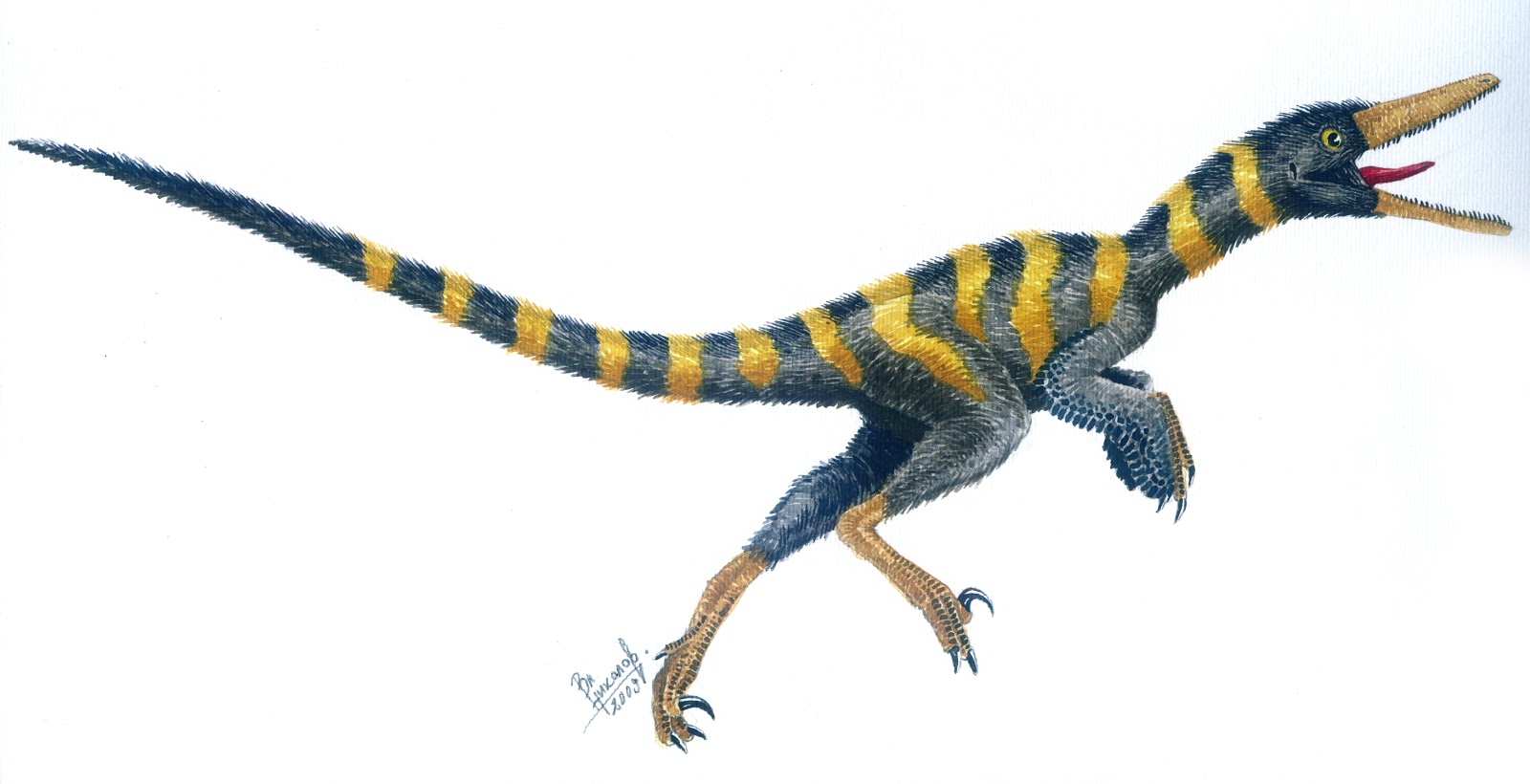 Extinct Animal of the Week: Different Versions of A Diminuitive Dromaeosaur
