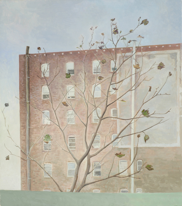 Travis Collinson - Pintura | Doctor Ojiplático