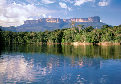 CAMINANDO POR EL BOSQUE: PARQUE NACIONAL CANAIMA