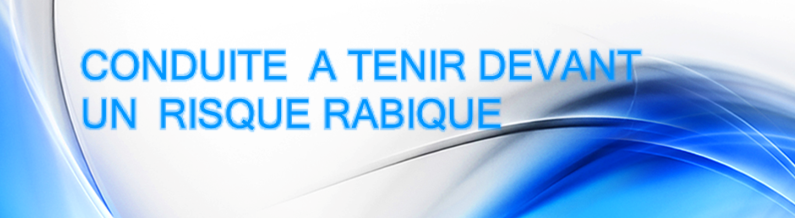médecine et maladies infectieuses: CONDUITE A TENIR DEVANT UN RISQUE RABIQUE