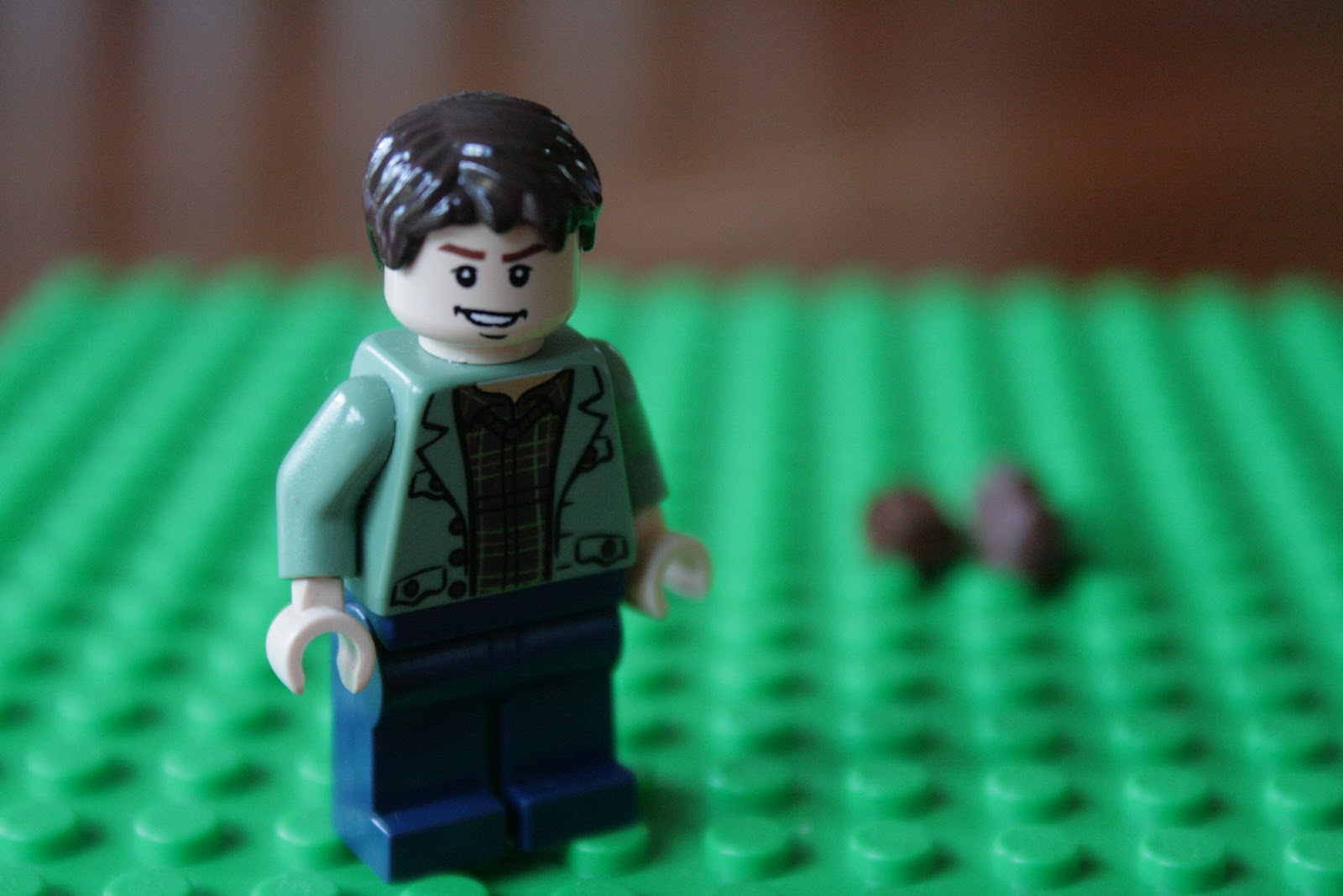 Dog Poop... Starring Legos | Daddy's in Charge?